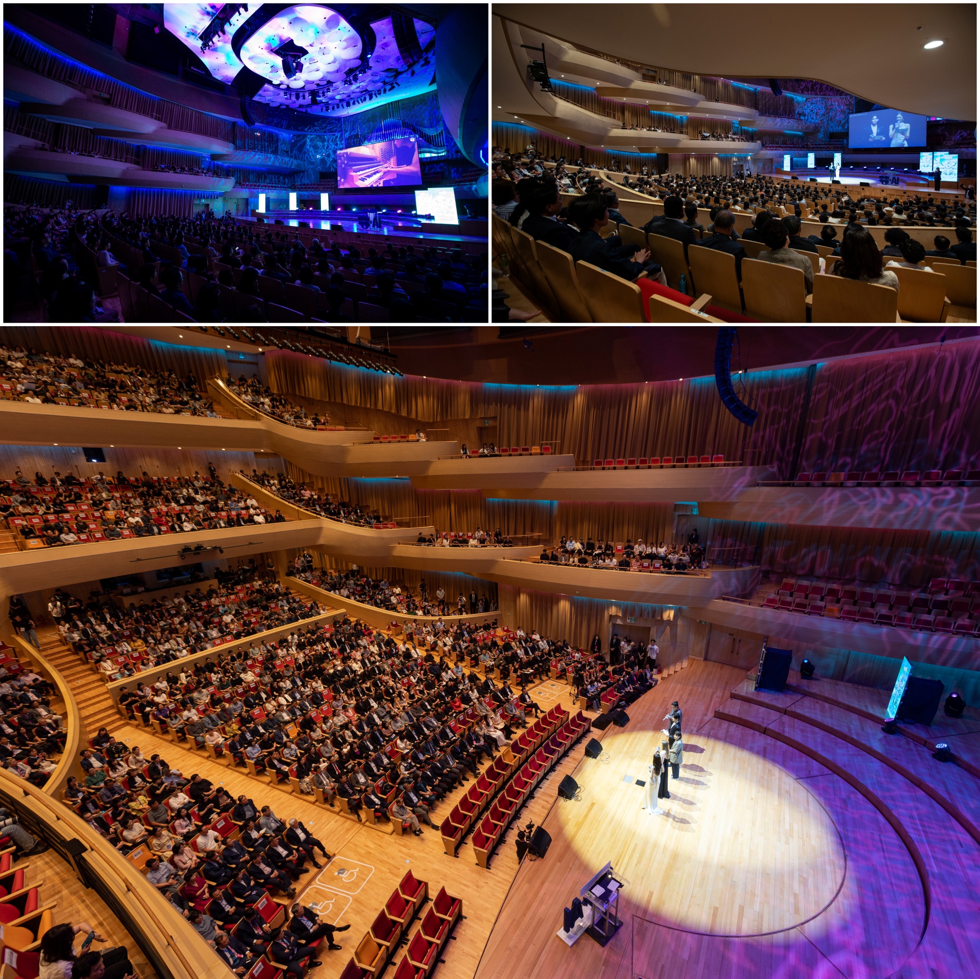 BIFAN 뉴스 | BIFAN